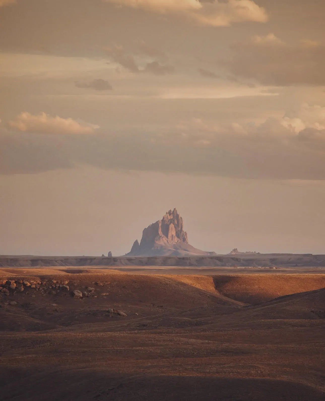 Art + Books – Tagged "Art"– High Noon General Store