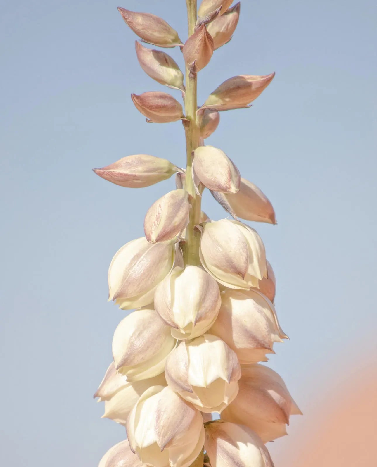 Art + Books – Tagged "Art"– High Noon General Store